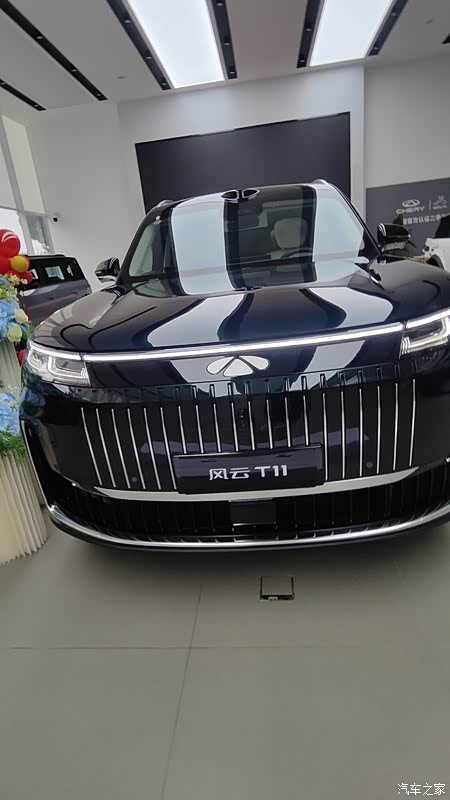 汽车之家|风云T11报价大全|大众点评|2026款 220四驱双IMAX影院版怎么样