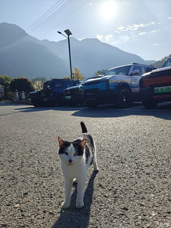 汽车之家|风云X3L报价大全|大众点评|2025款 205四驱高能版怎么样